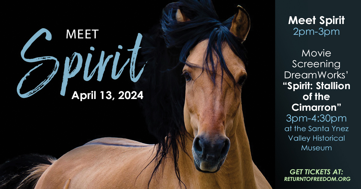 Spirit Stallion Of The Cimarron 2 Filmtrailer Spirit Stallion Of The